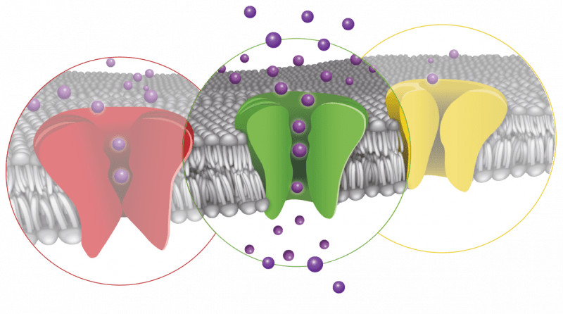 Metrion Is Open For Business