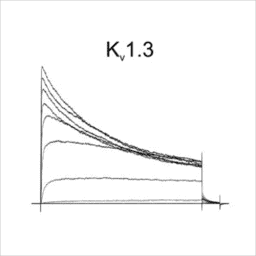 Ion Channel Screening • Metrion Biosciences