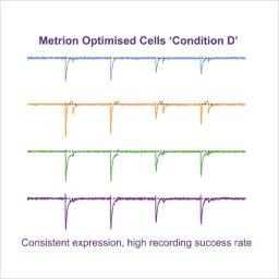 Ion Channel Screening • Metrion Biosciences