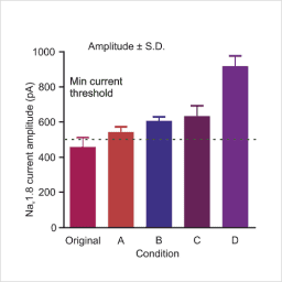 Ion Channel Screening • Metrion Biosciences