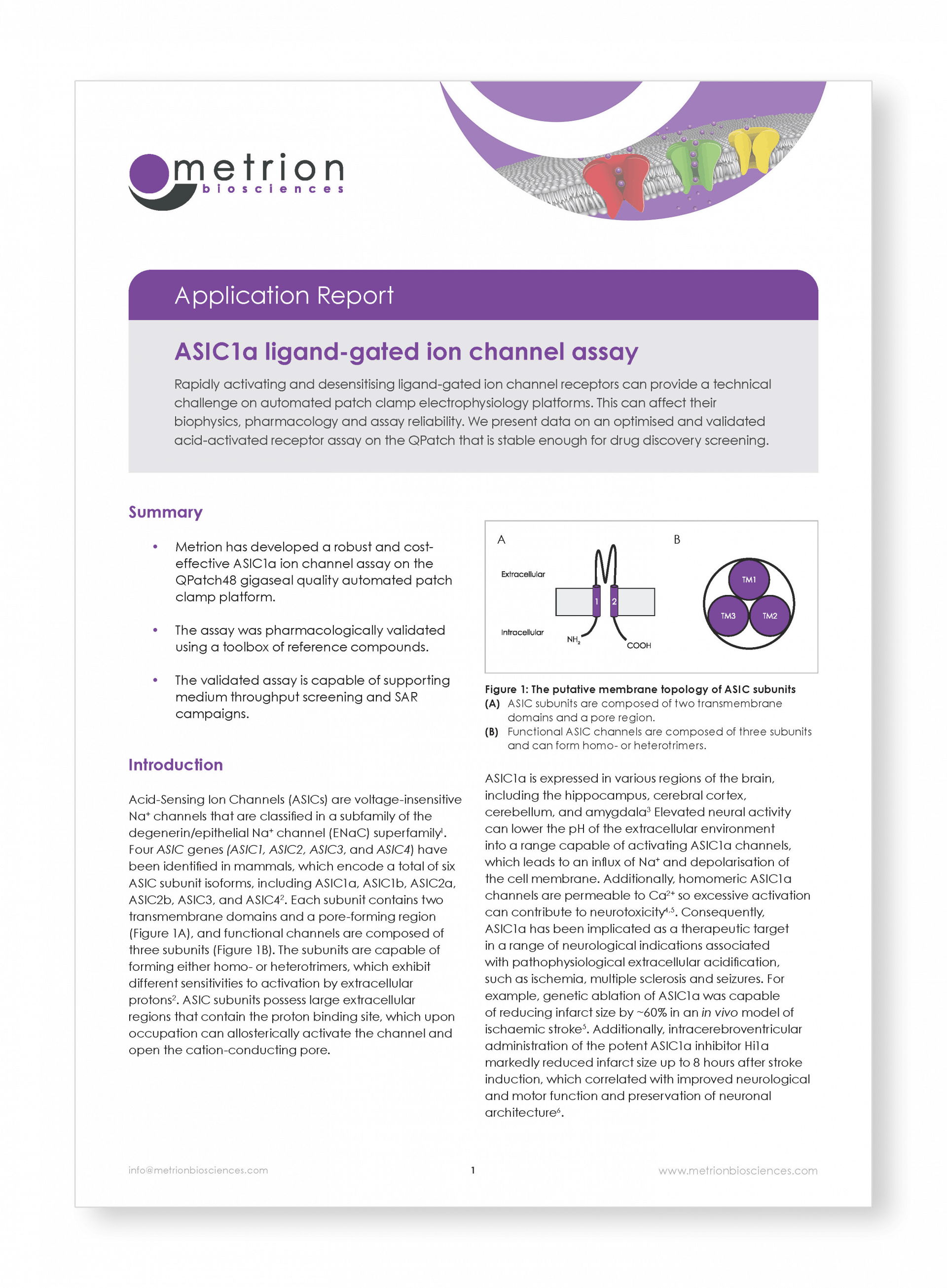 ASIC1a Ligand-gated Ion Channel Assay • Metrion Biosciences