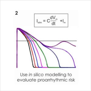 Cardiac Safety Screening • Metrion Biosciences