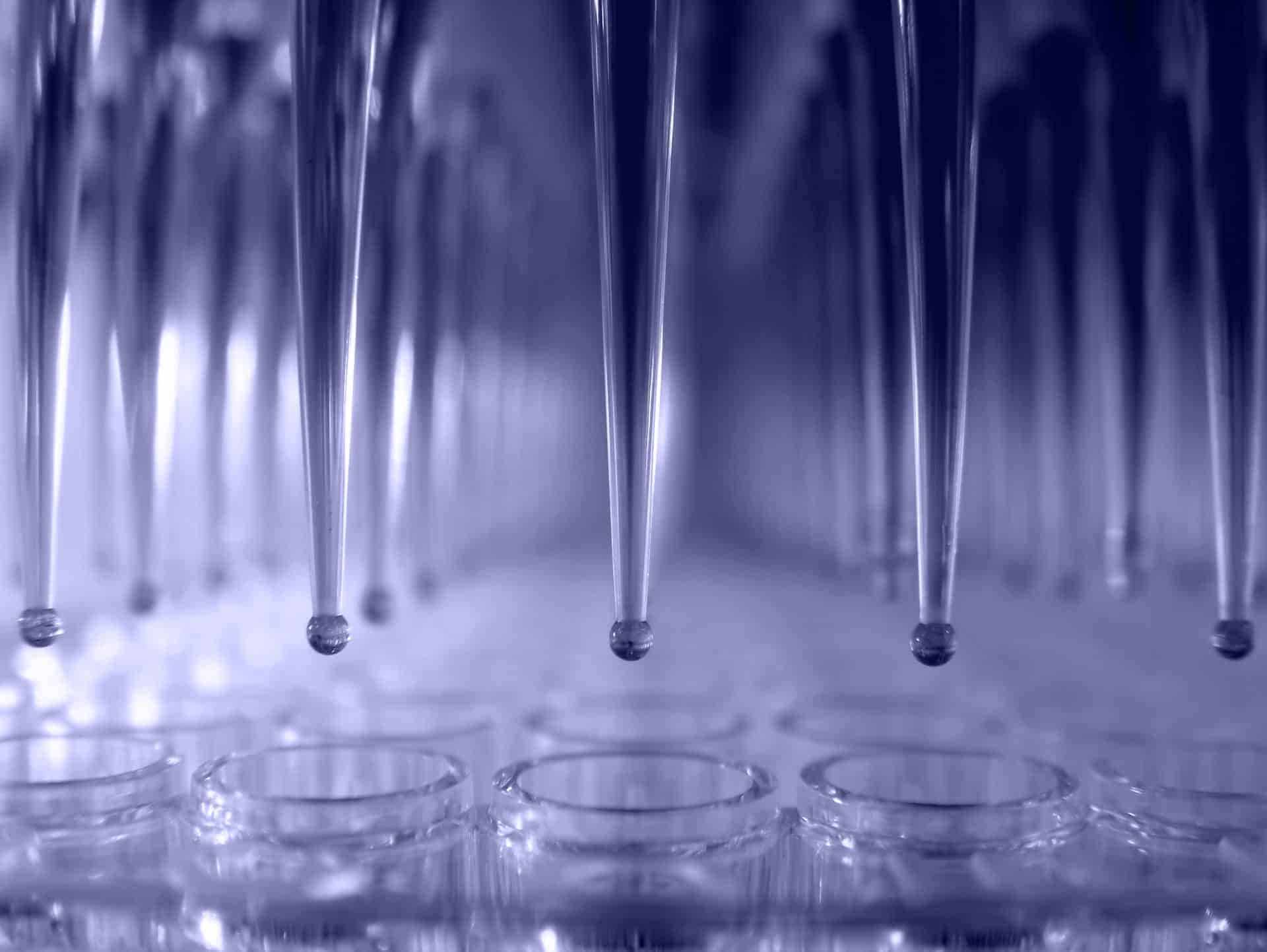 Ion Channel Screening • Metrion Biosciences