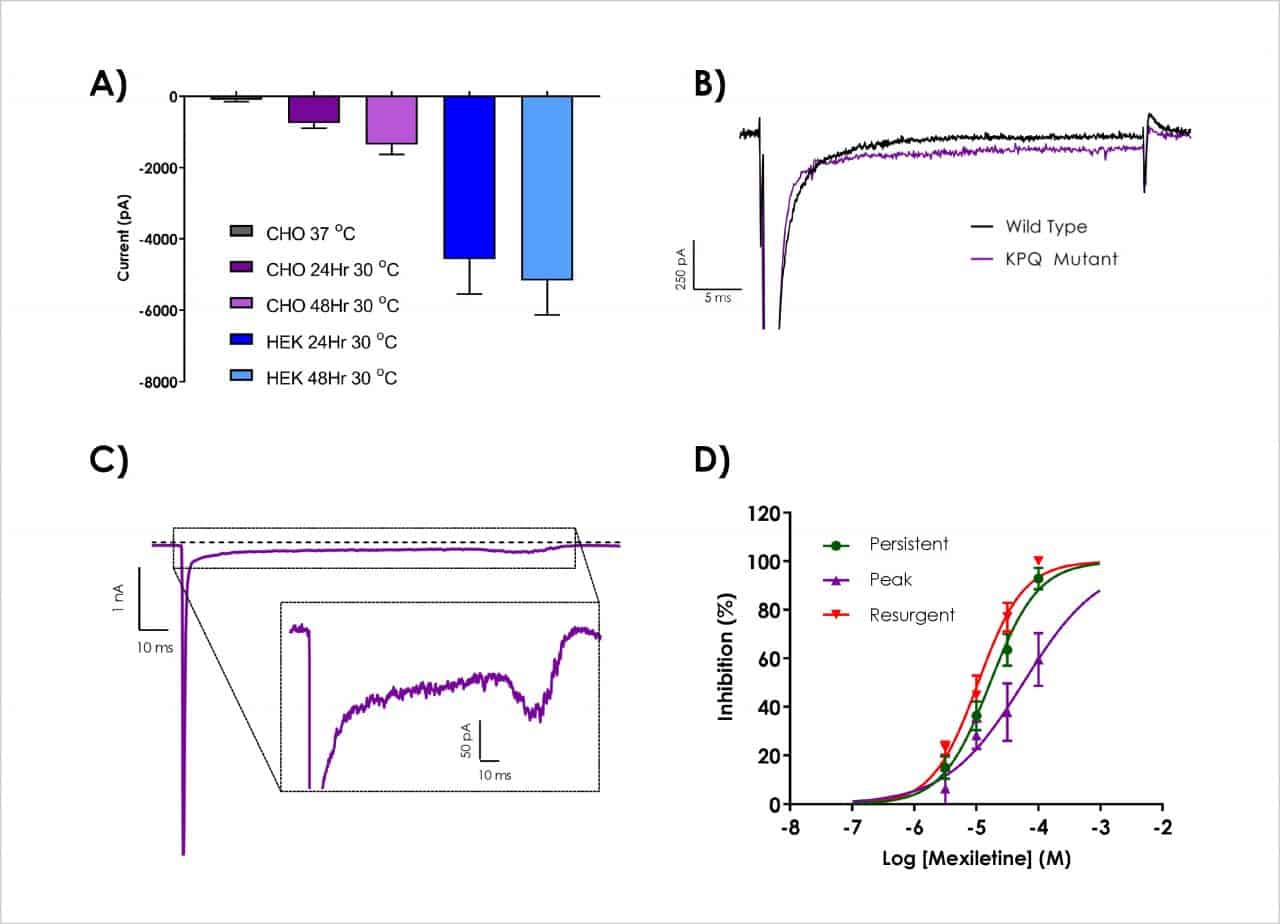 CiPA cardiac ion channel assays