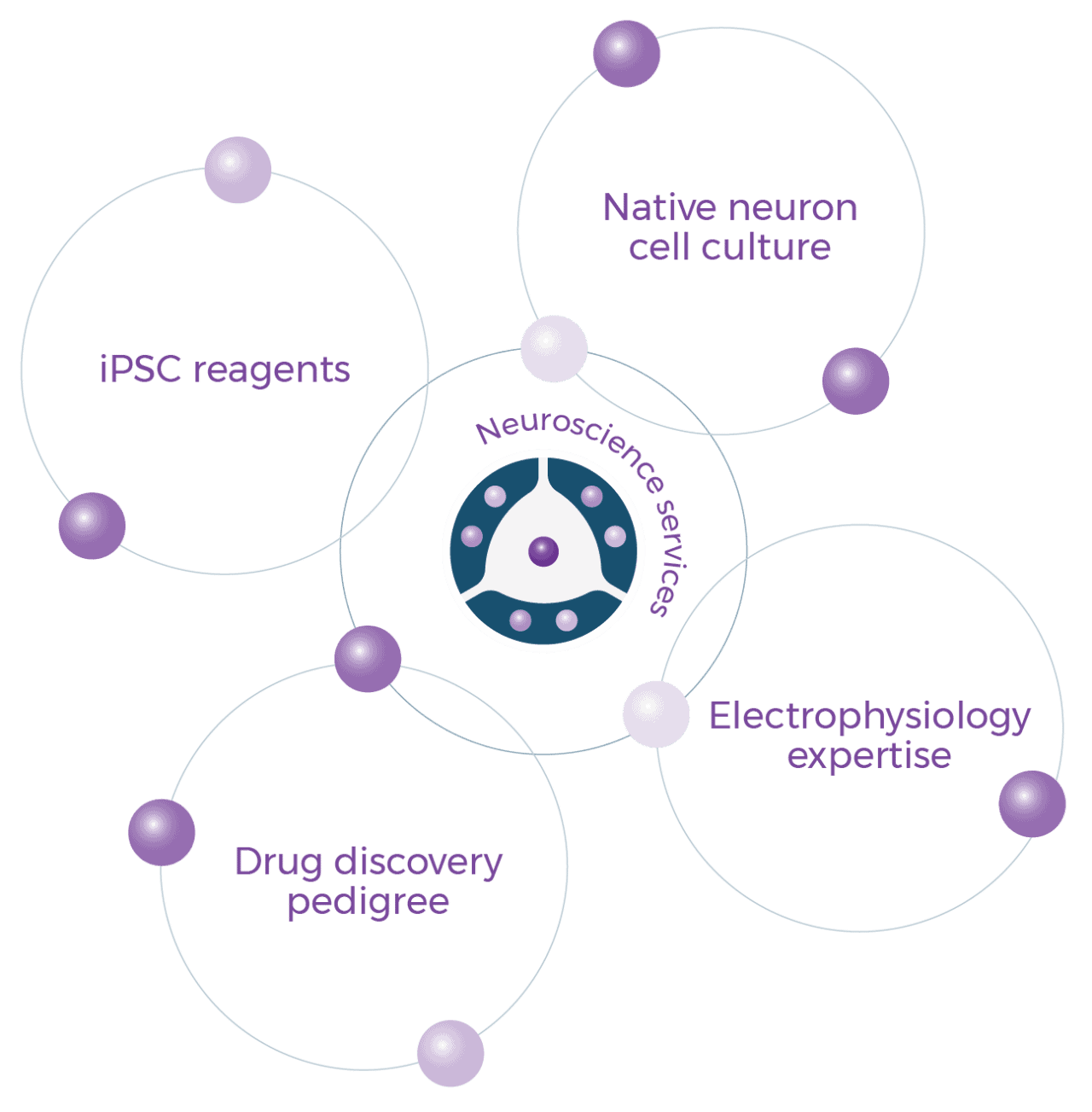 Neuroscience • Metrion Biosciences