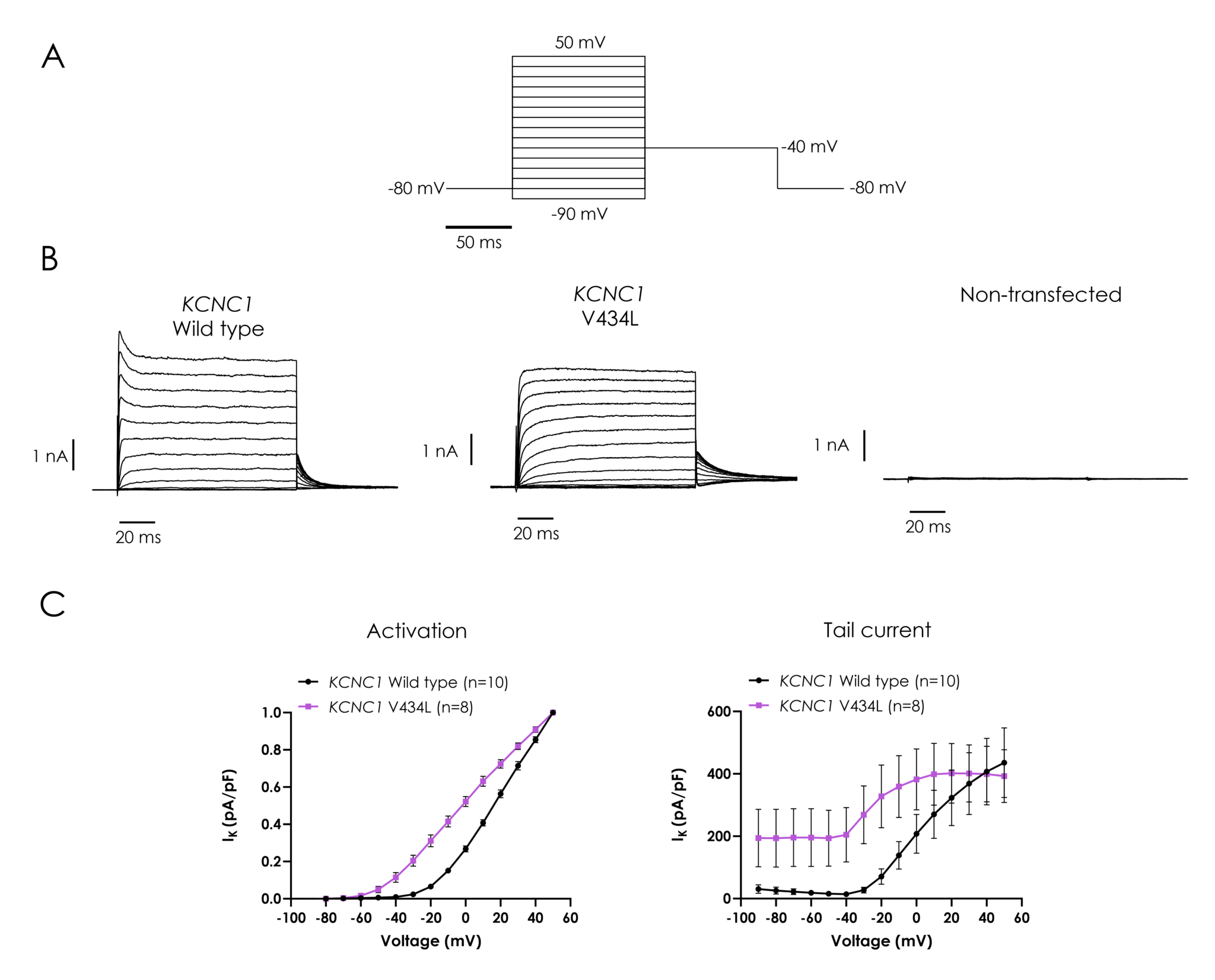 Multi-assay HTS ion channel drug repurposing screen KCNC1