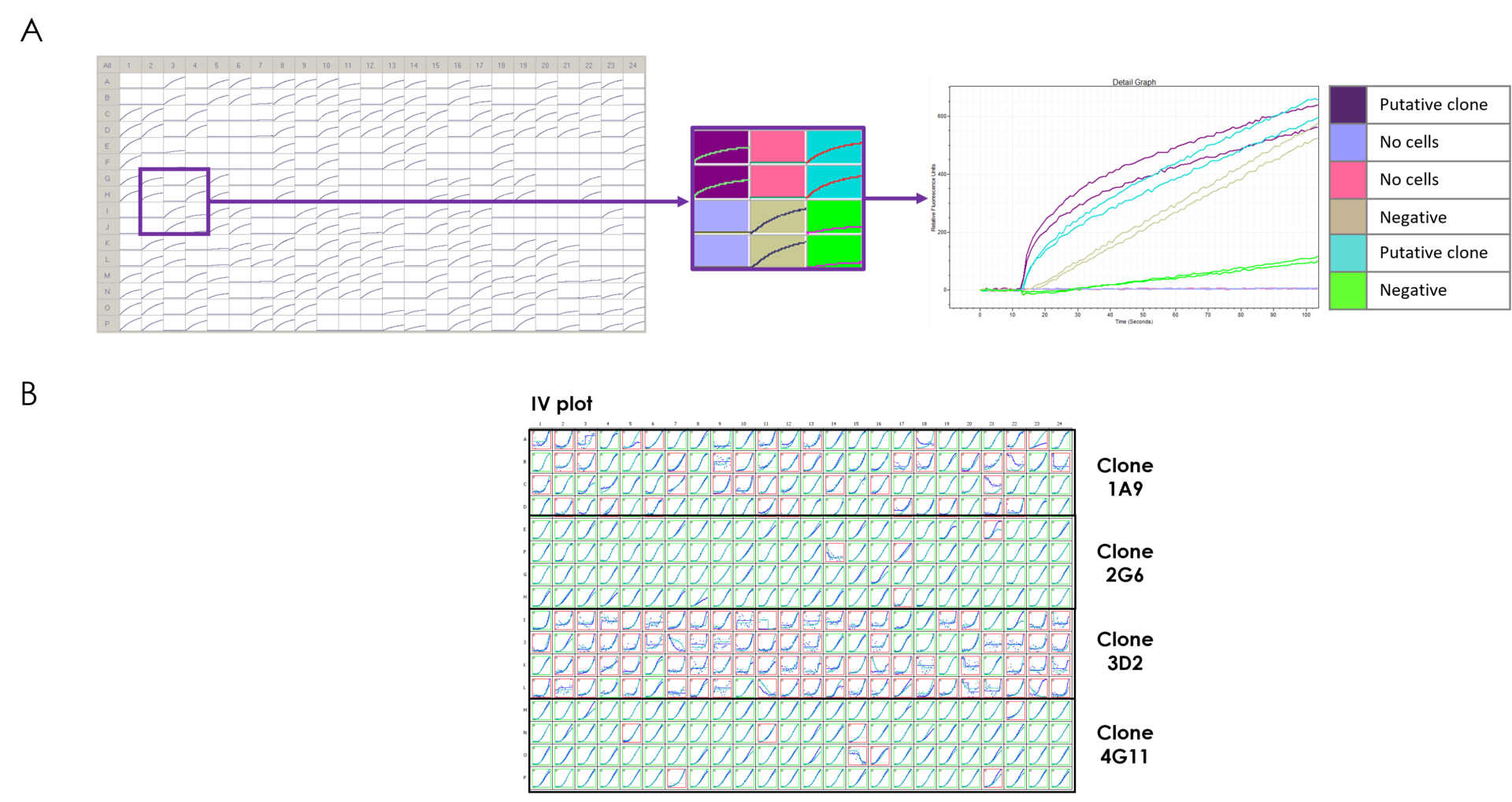 Multi-assay HTS ion channel drug repurposing screen KCNC1